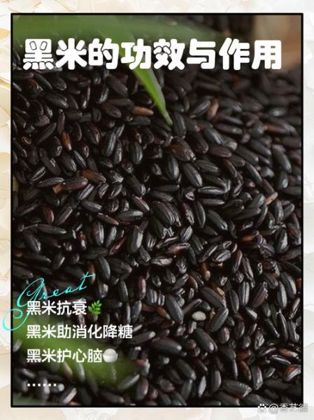 黑米补肾吗_黑米的功效与作用及营养-第1张图片-山城妙识 黑米补肾吗_黑米的功效与作用及营养-第1张图片-山城妙识