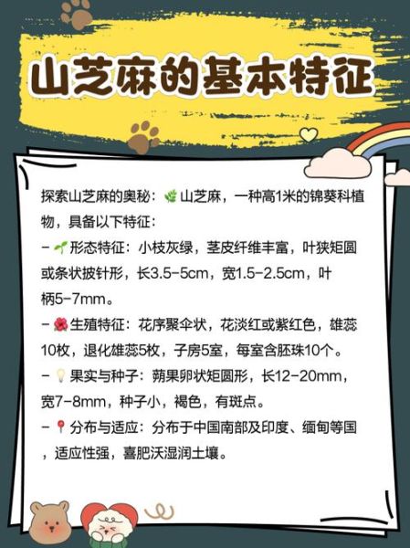 山芝麻的功效与作用_山芝麻怎么吃效果最好-第1张图片-山城妙识