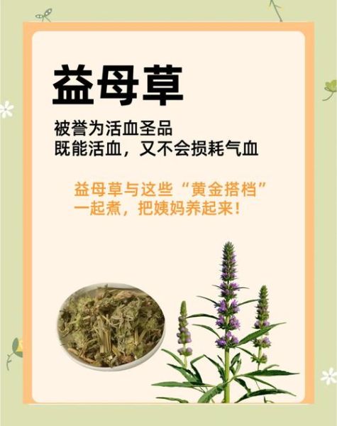 益母草的功效与作用_益母草的禁忌症有哪些-第3张图片-山城妙识 益母草的功效与作用_益母草的禁忌症有哪些-第3张图片-山城妙识