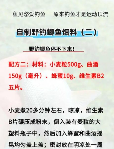 野钓用什么饵料_野钓最佳时间-第1张图片-山城妙识 野钓用什么饵料_野钓最佳时间-第1张图片-山城妙识