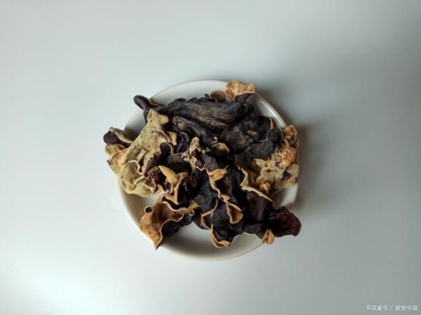 黑木耳要摩擦多久_黑木耳变黑原因-第3张图片-山城妙识