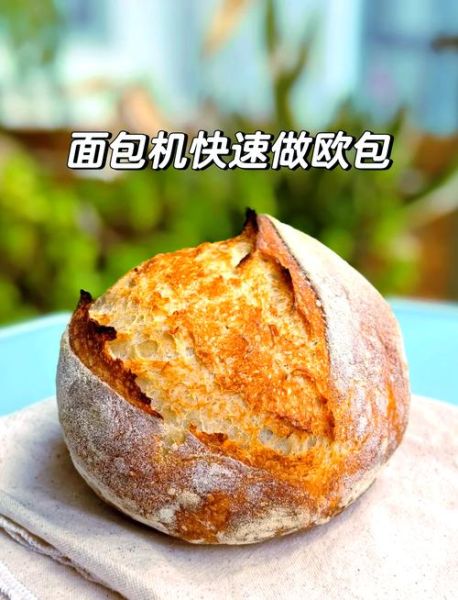 面包机做面包发酵几次_面包机发酵几次最好-第3张图片-山城妙识