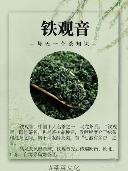 铁观音属于什么茶_铁观音是红茶吗-第1张图片-山城妙识