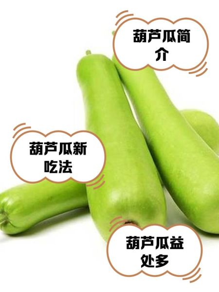葫芦瓜怎么做好吃_葫芦瓜的营养价值-第2张图片-山城妙识