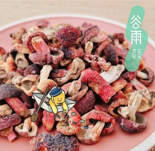 干红菇怎么泡发_干红菇煲汤做法-第3张图片-山城妙识 干红菇怎么泡发_干红菇煲汤做法-第3张图片-山城妙识