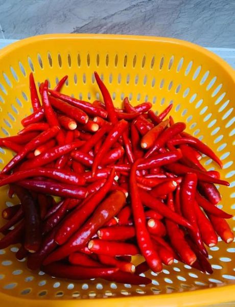 自制剁辣椒的家常做法_怎么保存不霉变-第1张图片-山城妙识 自制剁辣椒的家常做法_怎么保存不霉变-第1张图片-山城妙识