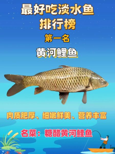 中国最好吃的鱼排行榜_哪些鱼最鲜美-第1张图片-山城妙识 中国最好吃的鱼排行榜_哪些鱼最鲜美-第1张图片-山城妙识