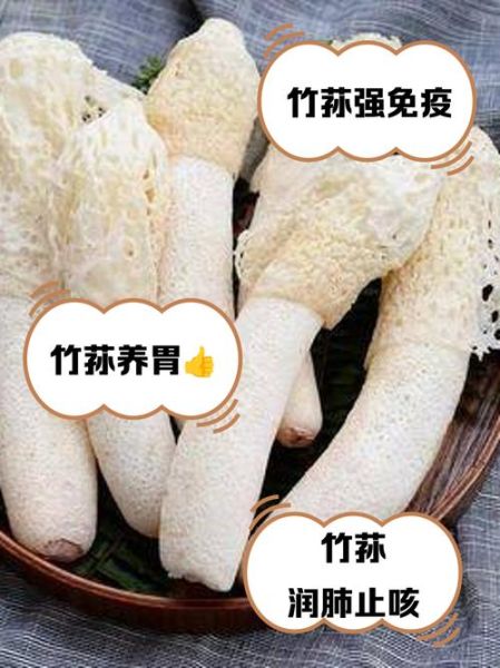 竹荪的功效与作用_竹荪怎么吃最好-第3张图片-山城妙识