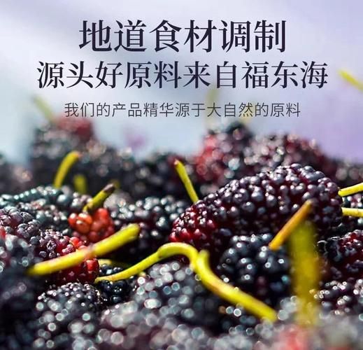 桑葚膏的功效与作用吃法_桑葚膏什么时候吃最好-第3张图片-山城妙识