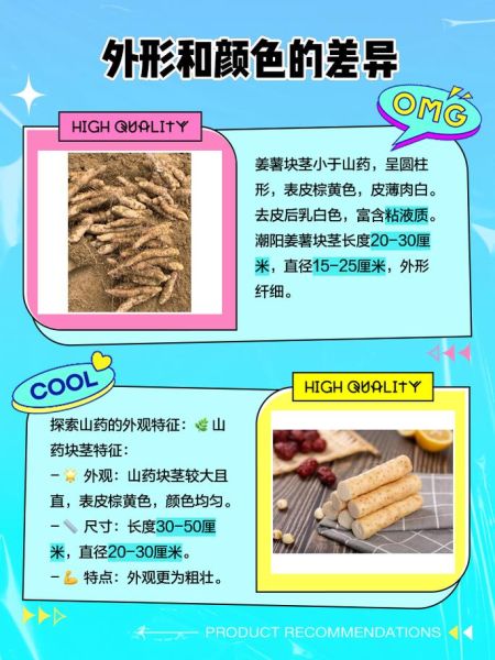 姜薯图片长什么样_姜薯和山药的区别-第1张图片-山城妙识 姜薯图片长什么样_姜薯和山药的区别-第1张图片-山城妙识
