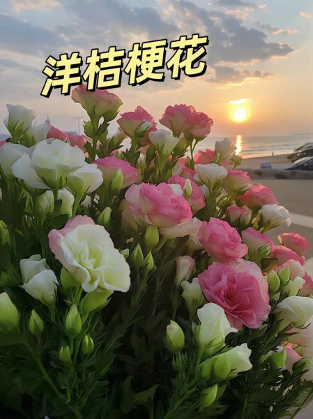 洋桔梗花图片怎么拍好看_洋桔梗花语是什么-第1张图片-山城妙识