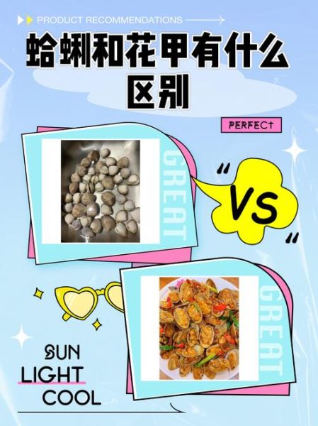 花蛤和花甲一样吗_区别与选购指南-第1张图片-山城妙识