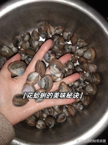 花蛤和花甲一样吗_区别与选购指南-第3张图片-山城妙识