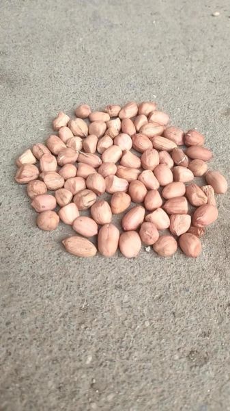 花生米价格今日多少钱一斤_花生米后期还会涨吗-第3张图片-山城妙识