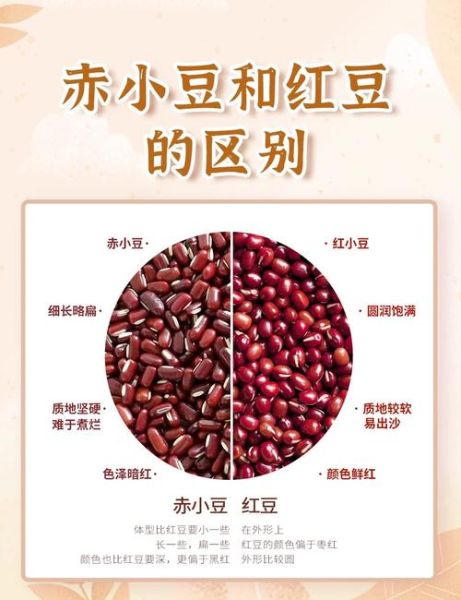 赤小豆长什么样_赤小豆和红豆的区别-第1张图片-山城妙识 赤小豆长什么样_赤小豆和红豆的区别-第1张图片-山城妙识