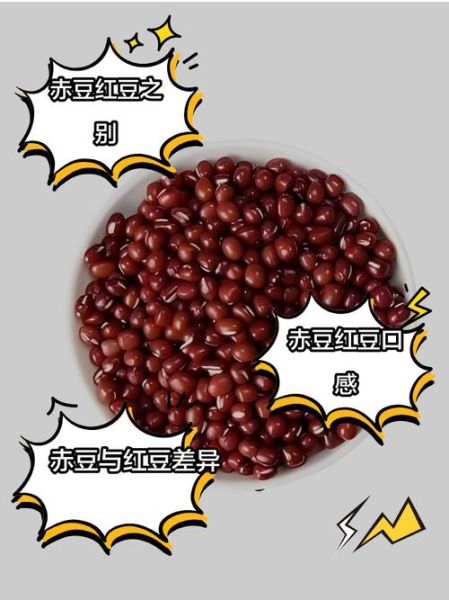 赤小豆长什么样_赤小豆和红豆的区别-第2张图片-山城妙识 赤小豆长什么样_赤小豆和红豆的区别-第2张图片-山城妙识