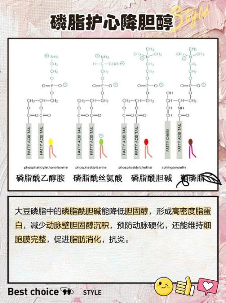 大豆卵磷脂的功效与作用_大豆卵磷脂的禁忌有哪些-第2张图片-山城妙识 大豆卵磷脂的功效与作用_大豆卵磷脂的禁忌有哪些-第2张图片-山城妙识