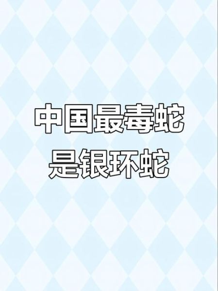中国十大毒蛇第一名是什么_银环蛇毒性有多强-第1张图片-山城妙识 中国十大毒蛇第一名是什么_银环蛇毒性有多强-第1张图片-山城妙识