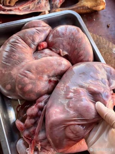 羊胎盘的功效与禁忌_适合人群与注意事项-第2张图片-山城妙识 羊胎盘的功效与禁忌_适合人群与注意事项-第2张图片-山城妙识