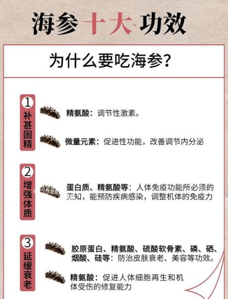 海参的功效与作用_海参的禁忌人群有哪些-第1张图片-山城妙识 海参的功效与作用_海参的禁忌人群有哪些-第1张图片-山城妙识