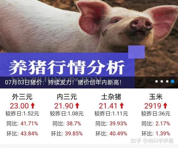 猪肉价格暴涨的原因_猪肉价格暴涨会持续多久-第3张图片-山城妙识 猪肉价格暴涨的原因_猪肉价格暴涨会持续多久-第3张图片-山城妙识