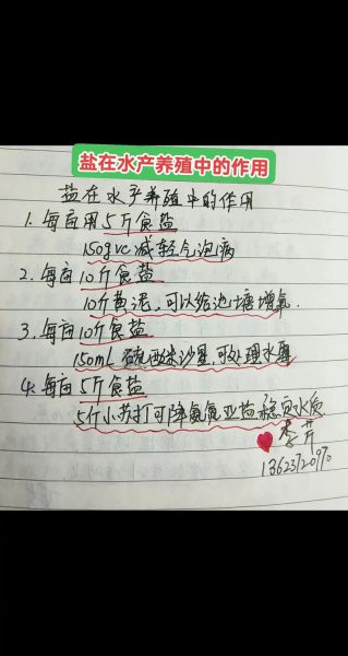 对虾怎么养殖_对虾养殖技术要点-第1张图片-山城妙识 对虾怎么养殖_对虾养殖技术要点-第1张图片-山城妙识