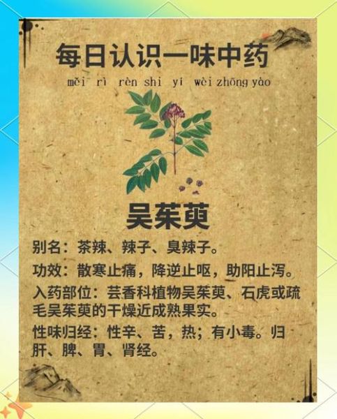 吴茱萸治胃病真的有效吗_吴茱萸怎么用治胃病-第1张图片-山城妙识 吴茱萸治胃病真的有效吗_吴茱萸怎么用治胃病-第1张图片-山城妙识