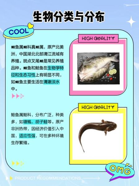 鲇鱼读音是什么_鲇鱼与鲶鱼区别-第2张图片-山城妙识 鲇鱼读音是什么_鲇鱼与鲶鱼区别-第2张图片-山城妙识