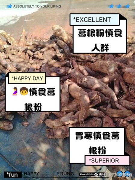 葛根粉的禁忌有哪些_葛根粉副作用是什么-第1张图片-山城妙识 葛根粉的禁忌有哪些_葛根粉副作用是什么-第1张图片-山城妙识