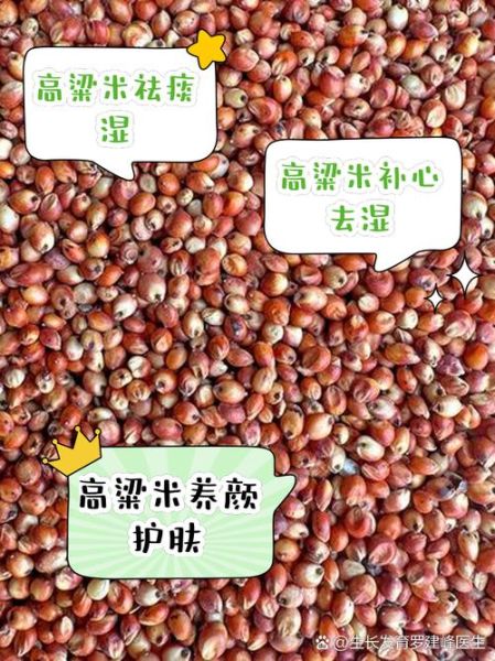 炒高粱米的功效与作用_高粱米炒熟后有什么好处-第1张图片-山城妙识 炒高粱米的功效与作用_高粱米炒熟后有什么好处-第1张图片-山城妙识