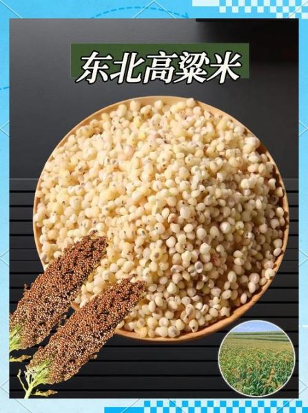 炒高粱米的功效与作用_高粱米炒熟后有什么好处-第2张图片-山城妙识 炒高粱米的功效与作用_高粱米炒熟后有什么好处-第2张图片-山城妙识