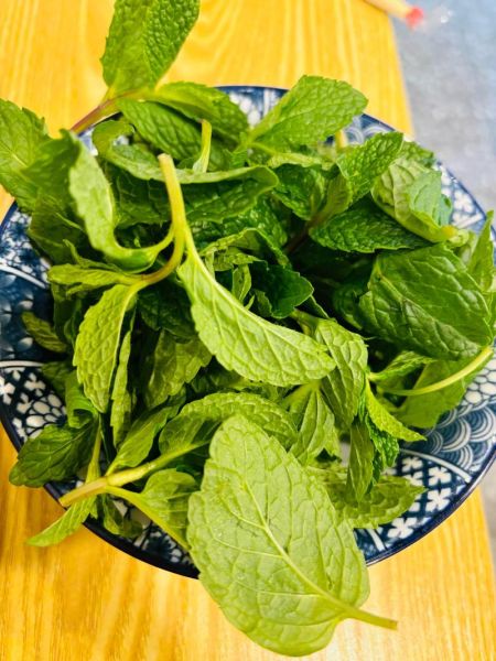 凉拌薄荷叶要焯水吗_薄荷叶焯水还是不焯水-第1张图片-山城妙识 凉拌薄荷叶要焯水吗_薄荷叶焯水还是不焯水-第1张图片-山城妙识