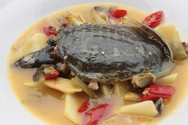 霸王别姬的菜是什么意思_霸王别姬菜名由来-第3张图片-山城妙识 霸王别姬的菜是什么意思_霸王别姬菜名由来-第3张图片-山城妙识