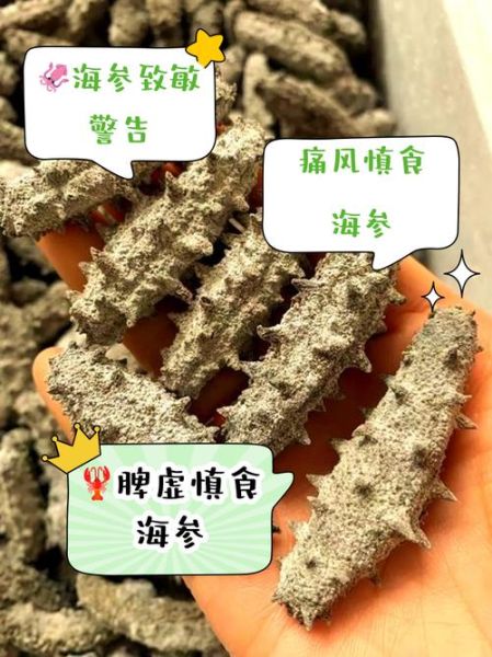 海参不能和什么一起吃_哪些人不适合吃海参-第1张图片-山城妙识 海参不能和什么一起吃_哪些人不适合吃海参-第1张图片-山城妙识