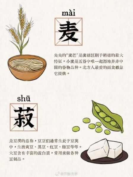 稻黍稷麦菽分别指什么_五谷具体是哪些粮食-第3张图片-山城妙识