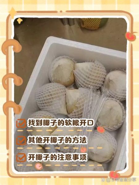 椰子怎么吃好吃_椰子怎么打开-第3张图片-山城妙识