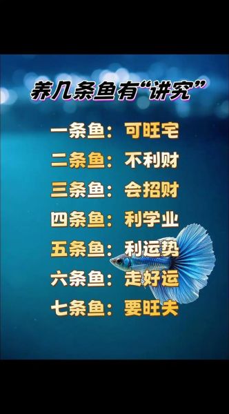 客厅养几条鱼最招财_风水数量禁忌-第1张图片-山城妙识 客厅养几条鱼最招财_风水数量禁忌-第1张图片-山城妙识