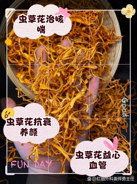 虫草花功效与作用有哪些_虫草花适合什么人吃-第1张图片-山城妙识 虫草花功效与作用有哪些_虫草花适合什么人吃-第1张图片-山城妙识