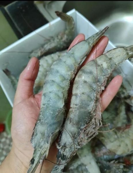 虾热量高吗_减肥能吃虾吗-第3张图片-山城妙识 虾热量高吗_减肥能吃虾吗-第3张图片-山城妙识