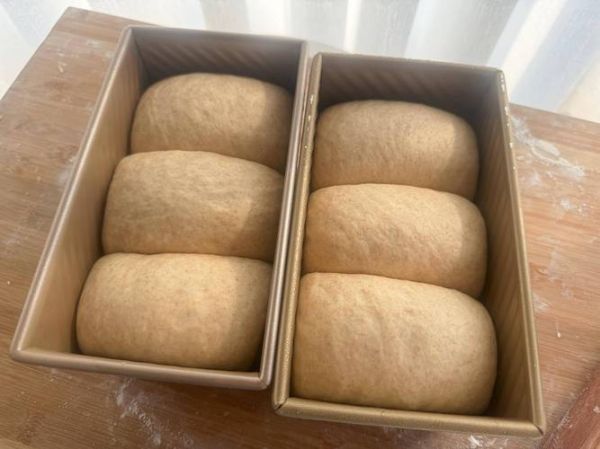 面包网2021最新地址_面包网打不开怎么办-第2张图片-山城妙识 面包网2021最新地址_面包网打不开怎么办-第2张图片-山城妙识