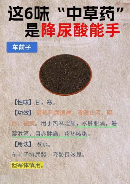 降尿酸最好的中草药有哪些_降尿酸中药多久见效-第1张图片-山城妙识 降尿酸最好的中草药有哪些_降尿酸中药多久见效-第1张图片-山城妙识