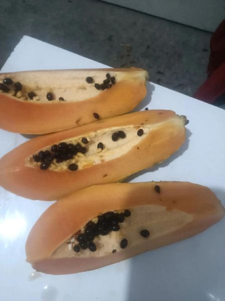 木瓜籽的正确吃法_木瓜籽怎么吃才安全-第3张图片-山城妙识 木瓜籽的正确吃法_木瓜籽怎么吃才安全-第3张图片-山城妙识