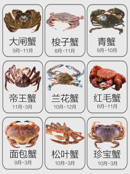 螃蟹的种类图片大全_如何区分常见蟹类-第1张图片-山城妙识 螃蟹的种类图片大全_如何区分常见蟹类-第1张图片-山城妙识
