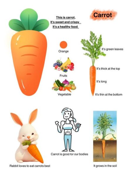 萝卜英语怎么学_萝卜英语适合零基础吗-第1张图片-山城妙识 萝卜英语怎么学_萝卜英语适合零基础吗-第1张图片-山城妙识