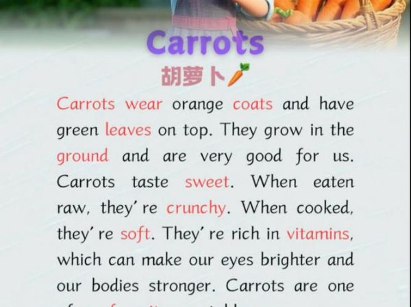 萝卜英语怎么学_萝卜英语适合零基础吗-第3张图片-山城妙识 萝卜英语怎么学_萝卜英语适合零基础吗-第3张图片-山城妙识