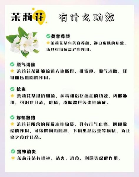 茉莉花的功效与禁忌_孕妇能喝茉莉花茶吗-第1张图片-山城妙识