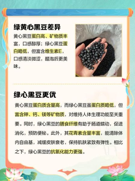 青仁黑豆和黑豆的区别_哪个营养价值更高-第1张图片-山城妙识 青仁黑豆和黑豆的区别_哪个营养价值更高-第1张图片-山城妙识