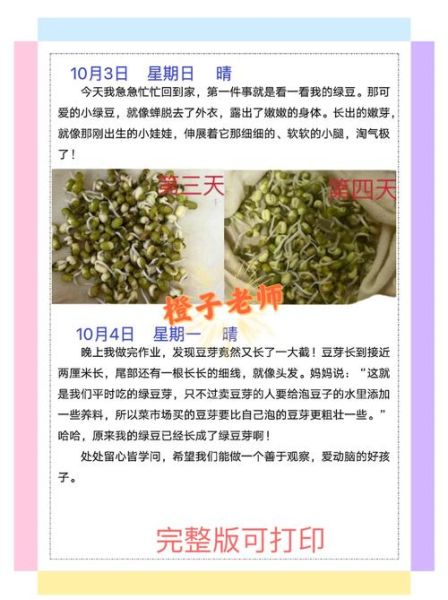 豆芽菜怎么生_家庭无土栽培豆芽步骤-第3张图片-山城妙识