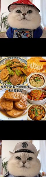素鸡是豆制品吗_素鸡和豆腐区别-第1张图片-山城妙识 素鸡是豆制品吗_素鸡和豆腐区别-第1张图片-山城妙识