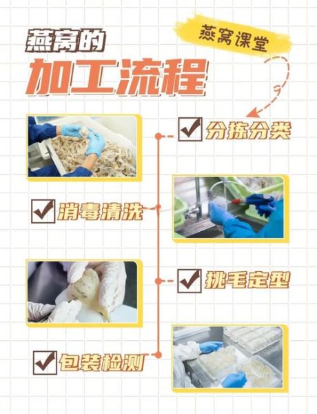 燕窝是怎么形成的_燕窝的生产过程-第1张图片-山城妙识 燕窝是怎么形成的_燕窝的生产过程-第1张图片-山城妙识